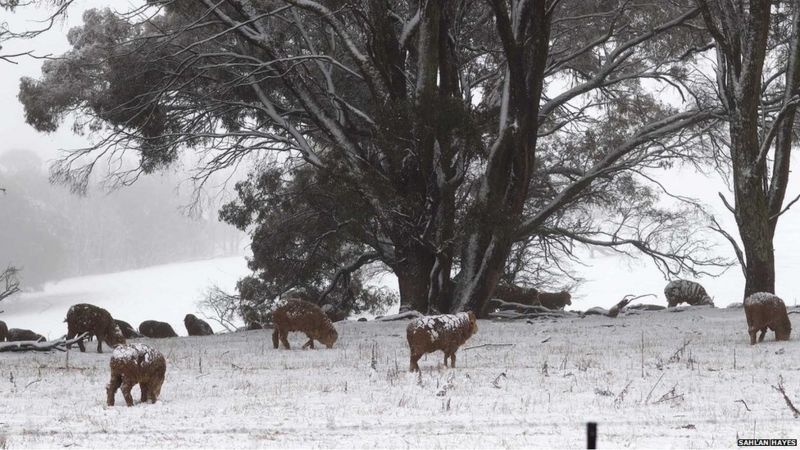 Atmospheric images of snow-covered Australia - BBC News