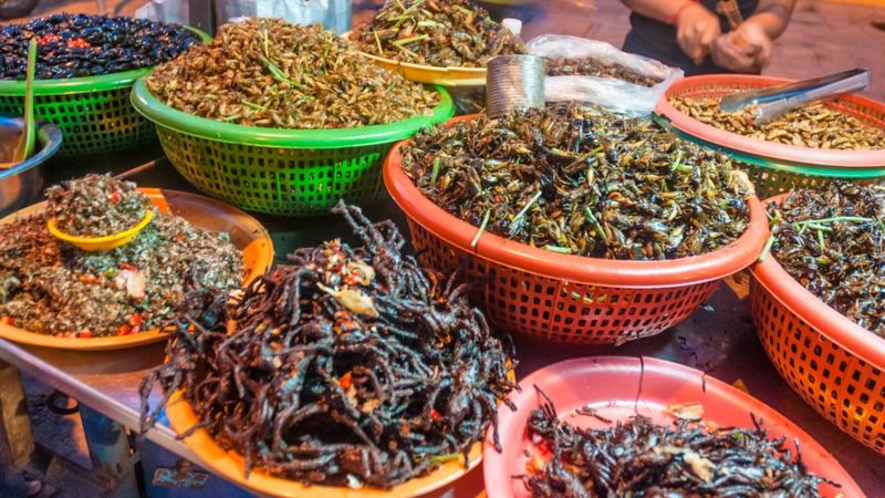 Eating insects: Should we be eating more? Why are they so good? - BBC ...