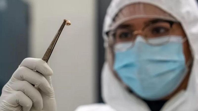 Peste noire : Comment cette tragédie sanitaire d'il y a 700 ans affecte ...