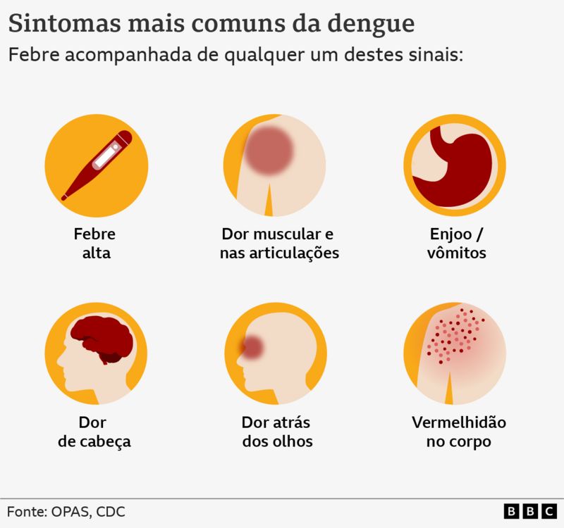 Dengue: nova vacina aprovada no Brasil representa o fim de epidemia histórica? - BBC News Brasil