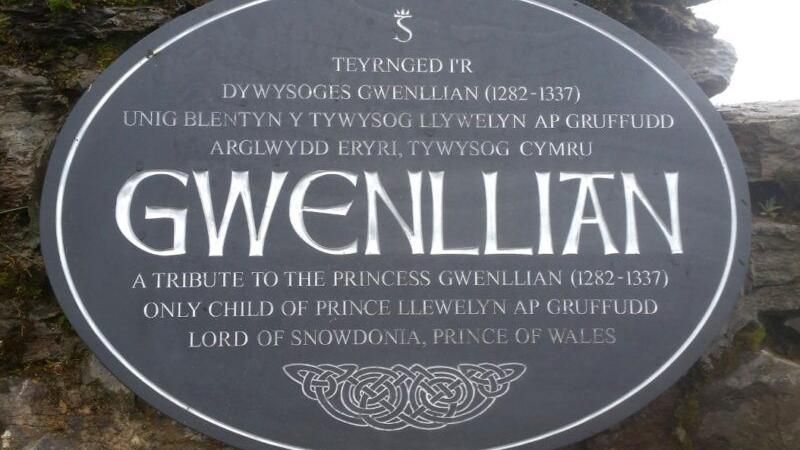 Pwy sy'n canu am Gwenllian? - BBC Cymru Fyw