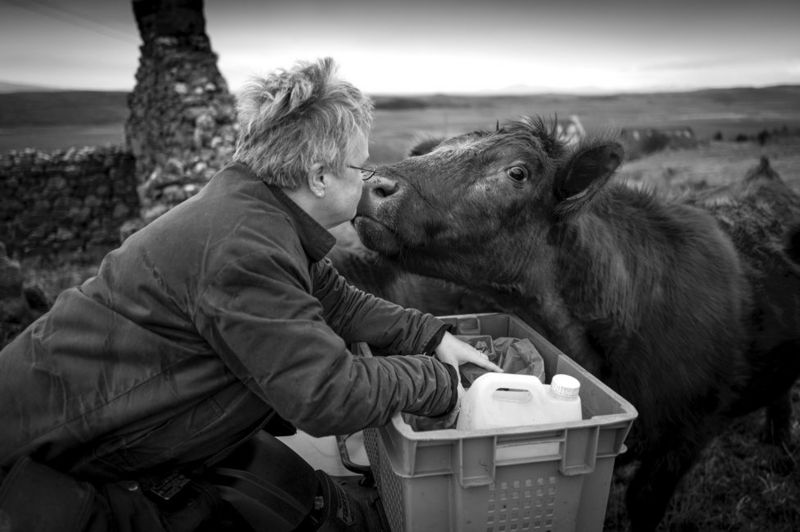 Your pictures of Scotland: Photographs from around the country - BBC News