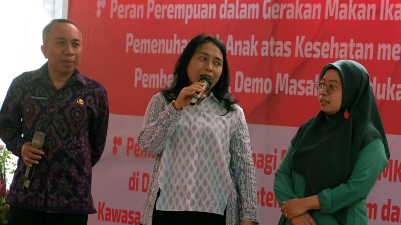Kawin tangkap: Penculikan perempuan terulang lagi di Sumba, mengapa 'kekerasan berdalih tradisi ...