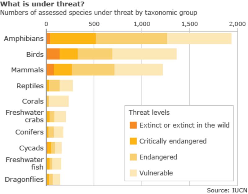 Nature loss 'to damage economies' - BBC News