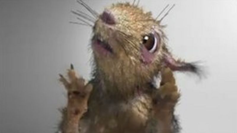 Russian 'demon squirrel' anti-alcoholism ad goes viral - BBC News