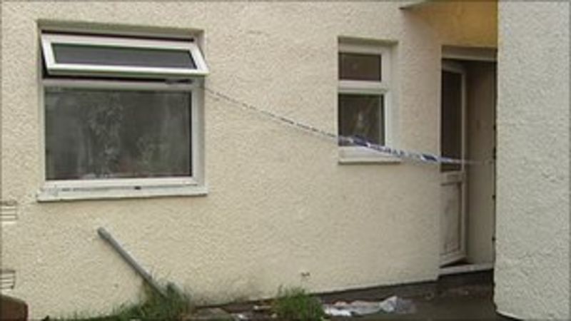 Two petrol bombs thrown at house - BBC News