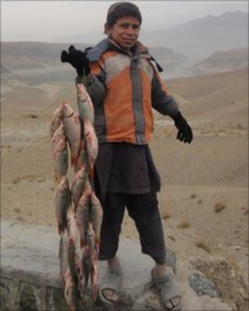 Afghan fishing village's biggest catch is new highway - BBC News