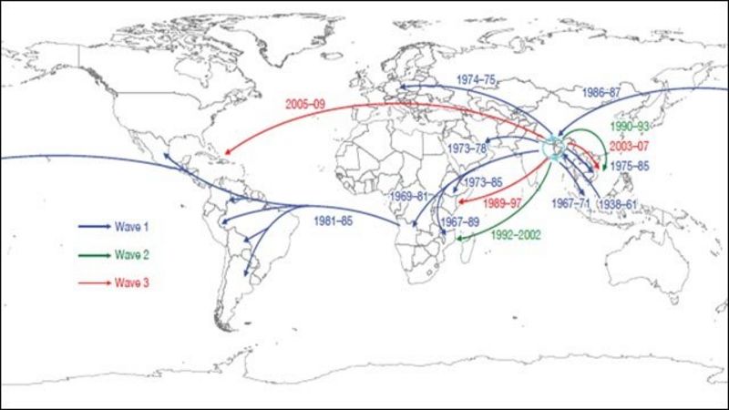 Cholera pandemic has a single global source - BBC News