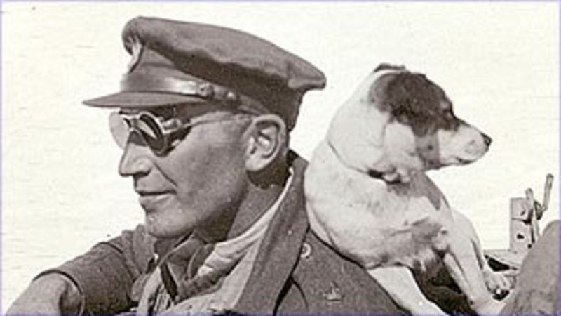 SAS war diary: The SAS secret hidden since World War II - BBC News