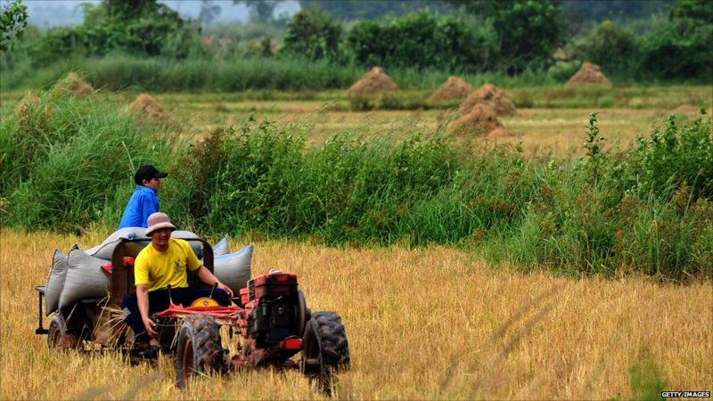 Laos profile - in pictures - BBC News