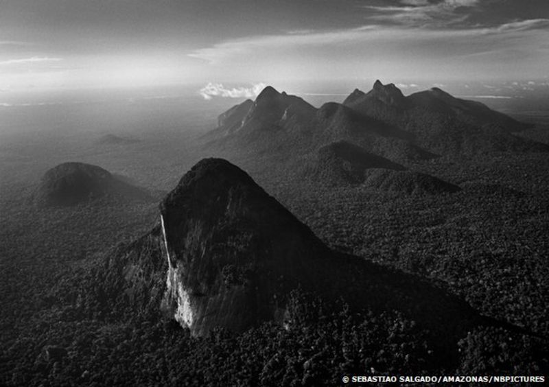 Sebastiao Salgado's Genesis project - BBC News