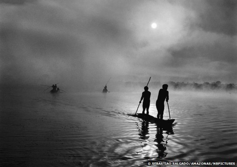 Sebastiao Salgado's Genesis project - BBC News