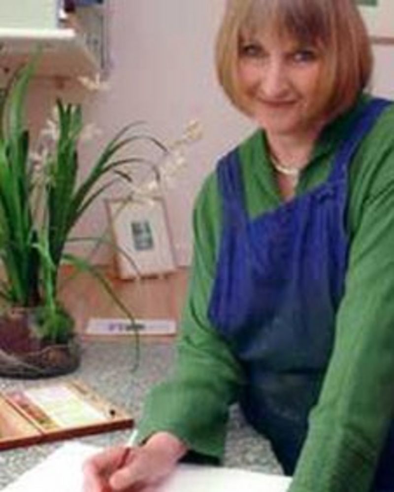 Does too little sunlight give us all the winter blues? - BBC News