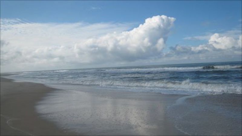 Gabon: Surfing hippos, lacking tourists - BBC News
