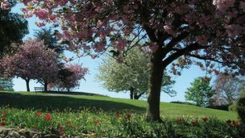 Views wanted on historic Worcester park for heritage bid - BBC News