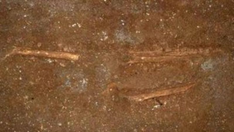 What happens if you find human remains in your garden? - BBC News