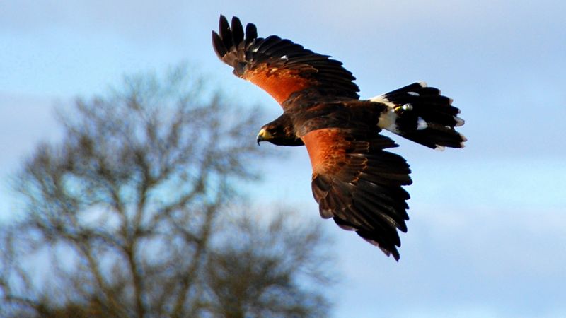 Your pictures of Scotland: 24 February - 2 March - BBC News