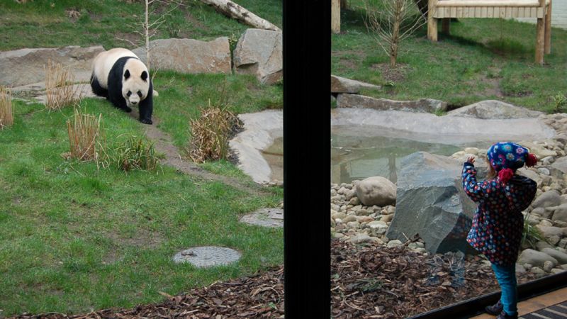 Your pictures of Scotland: 24 February - 2 March - BBC News