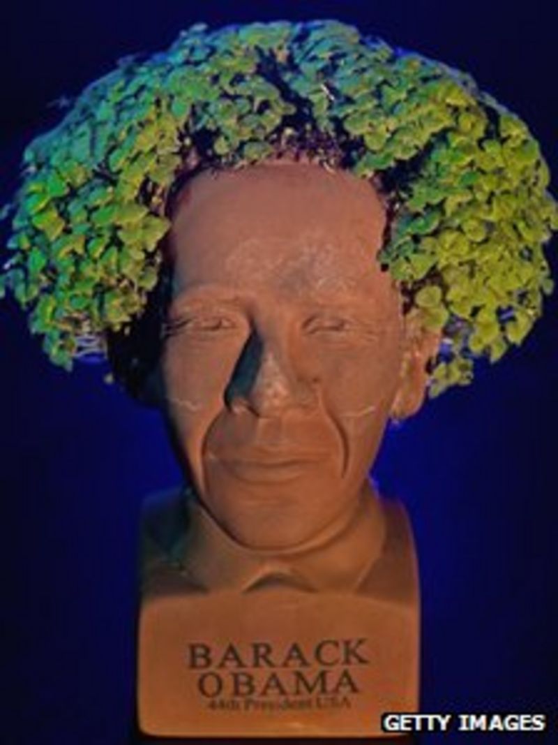 The chia craze - BBC News