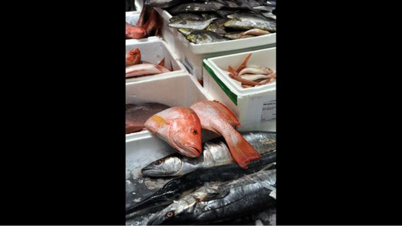 The great British fish swap - BBC News