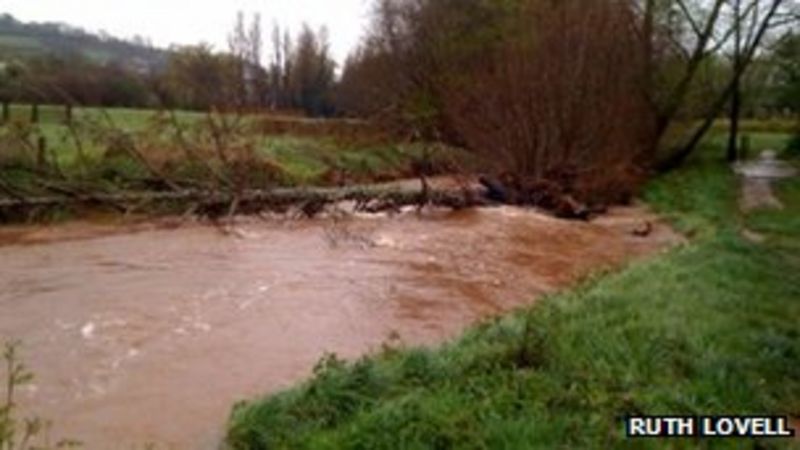 Three Devon rivers on flood warnings - BBC News