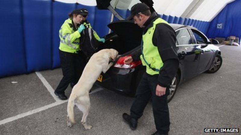 Has the sniffer dog had its day? - BBC News