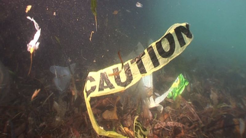 The rubbish dump under Sydney Harbour - BBC News