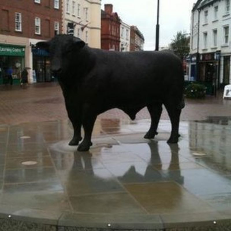 Hereford High Town life-sized bull statue installed - BBC News
