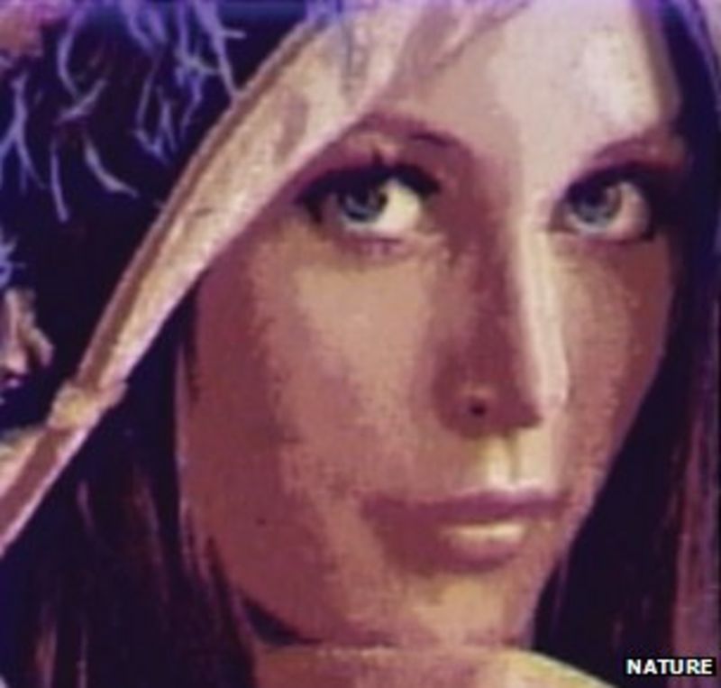 Playboy centrefold photo shrunk to width of human hair - BBC News