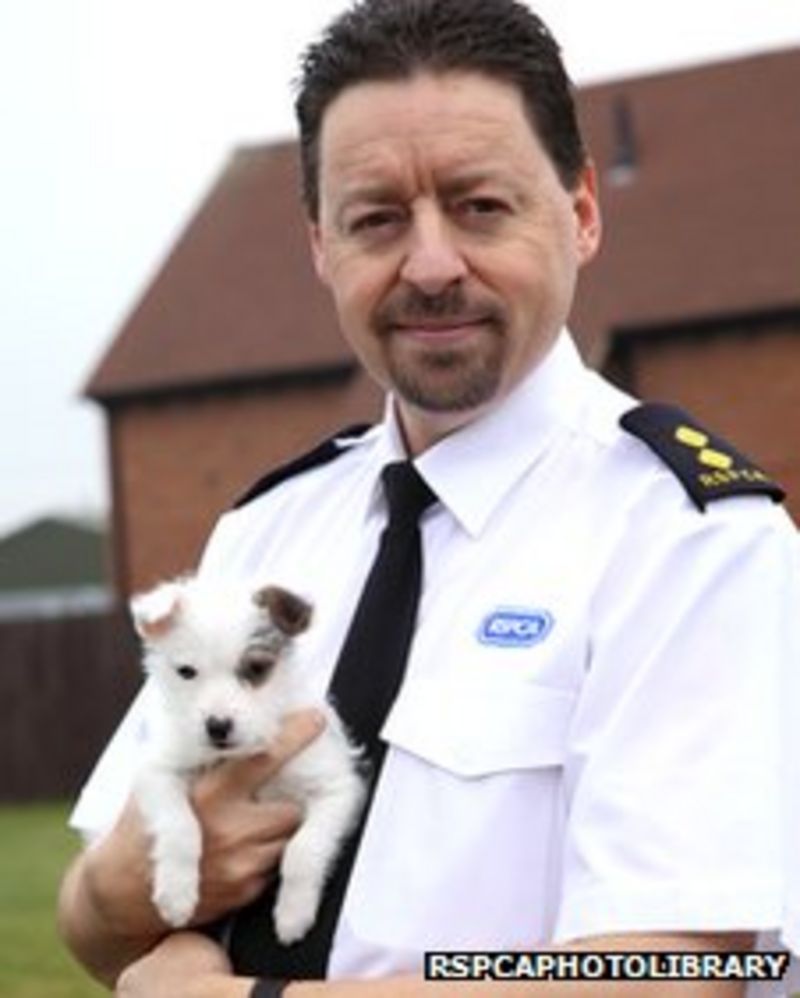 Terry Nutkins: Your memories - BBC News