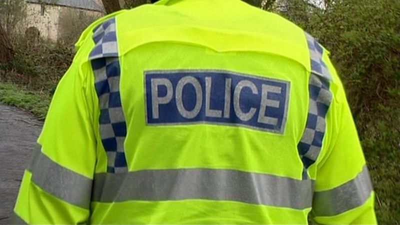 The police having transgender training - BBC News