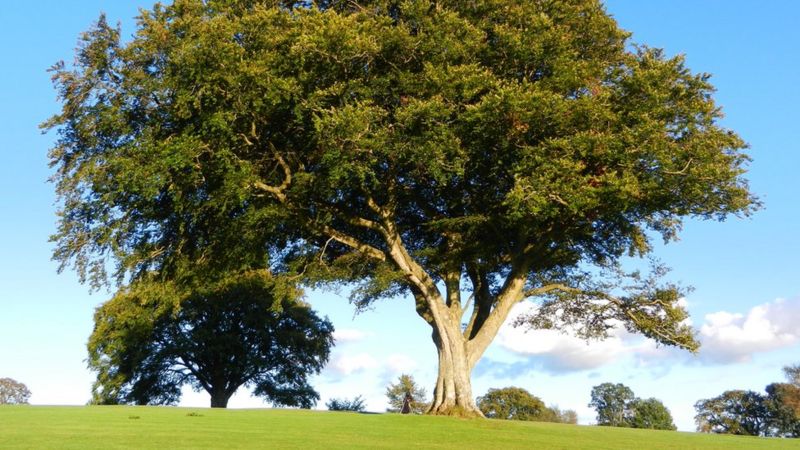 Your pictures of Scotland: 21 - 28 September - BBC News