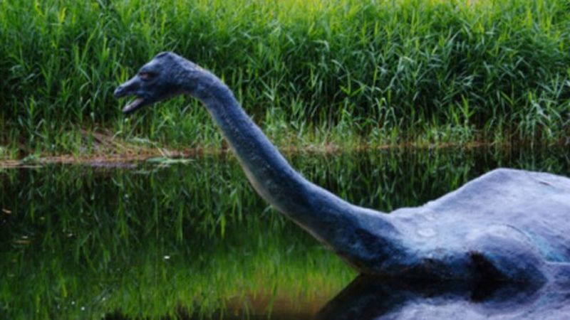 What happens if someone catches the Loch Ness Monster? - BBC News