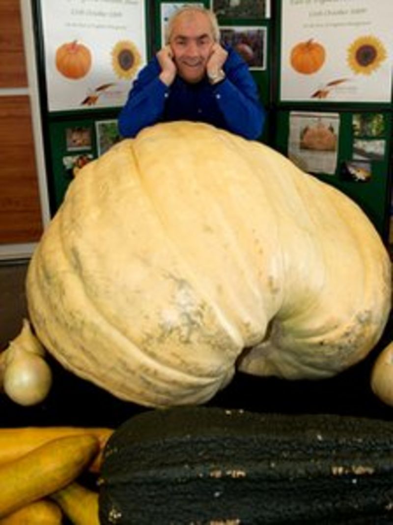 Giant vegetables fail to break records at Peterborough show - BBC News