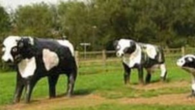 Milton Keynes concrete cows painted to 'save art' - BBC News