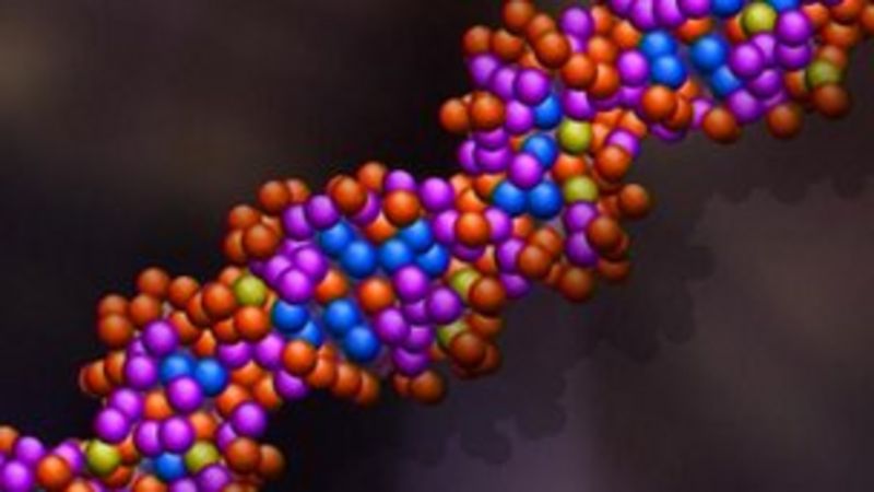 'Not-so-identical' twins may hold the key to disease - BBC News