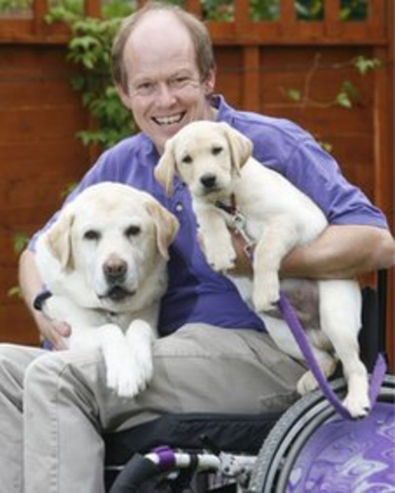 Endal the wonderdog's road to immortality receives street tribute - BBC ...