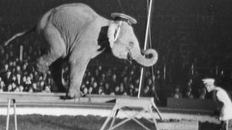History of the circus marked at University of Sheffield exhibition ...