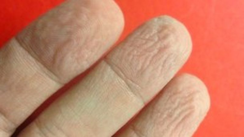 Science puts wrinkled fingers to the test - BBC News