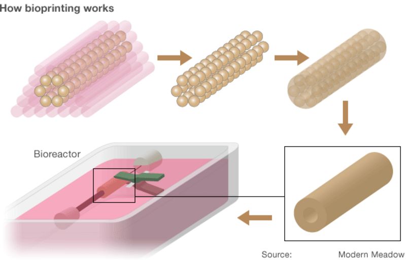 'Body on a chip' uses 3D printed organs to test vaccines - BBC News