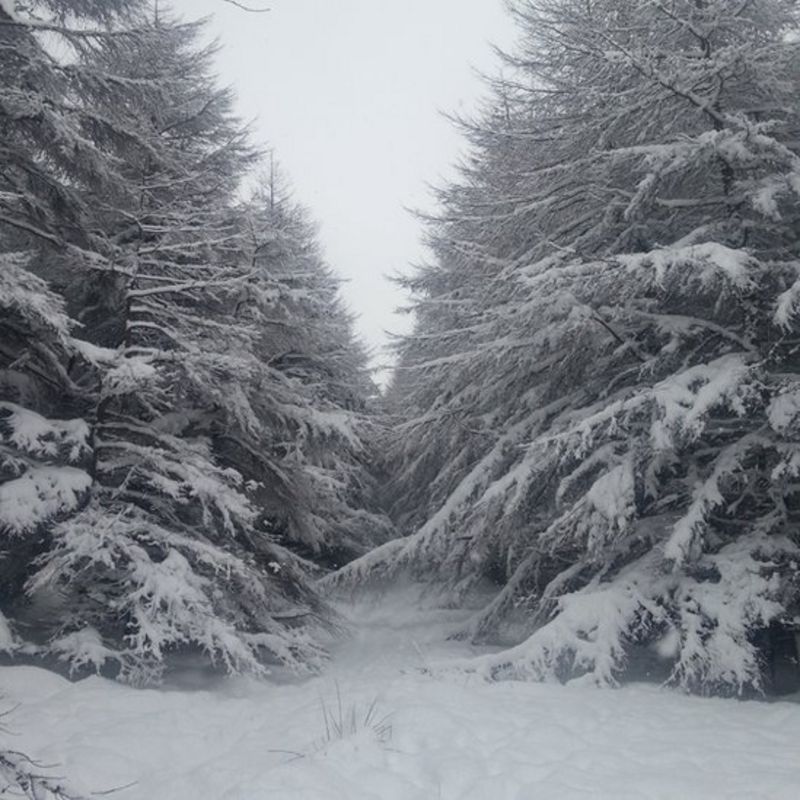 Your pictures of snow in the UK - BBC Weather