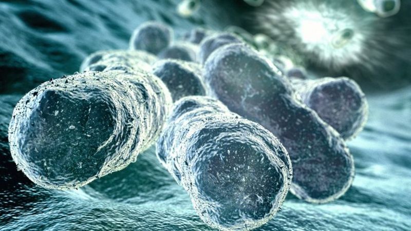 CDC: Possible US anthrax cases rise to 84 - BBC News