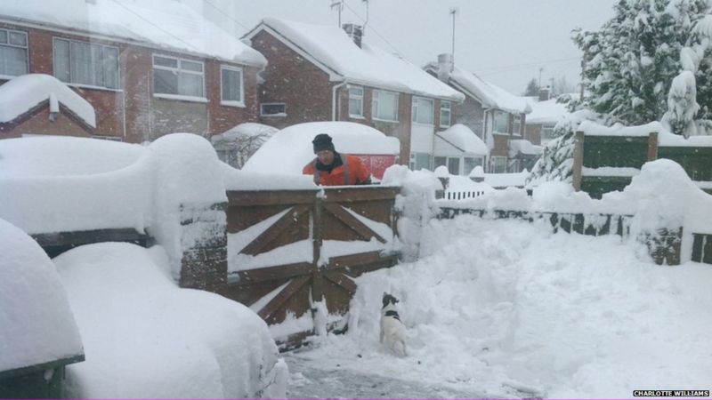 In pictures: Heavy snow hits north Wales - BBC News