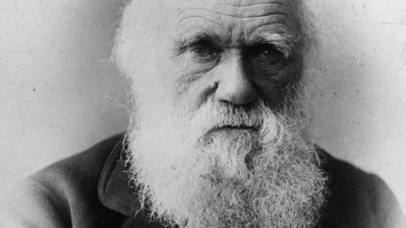Charles Darwin's evolution notes released by Cambridge University - BBC ...