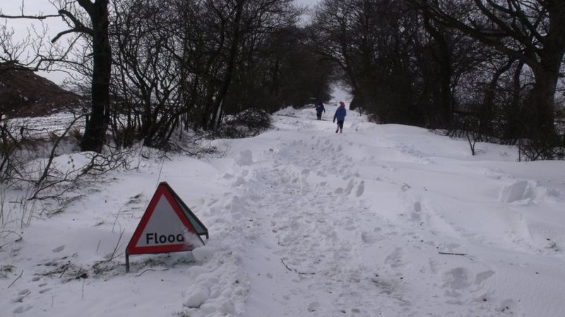 Your photos of the snow - BBC Weather