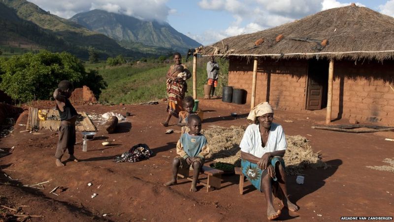 Mozambique: Life in pictures - BBC News
