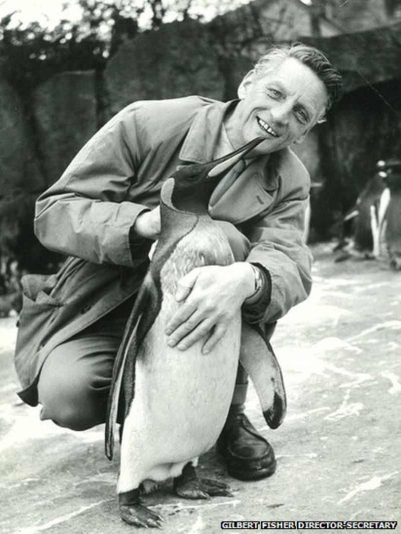 The Edinburgh Zoo Centenary Exhibition - BBC News