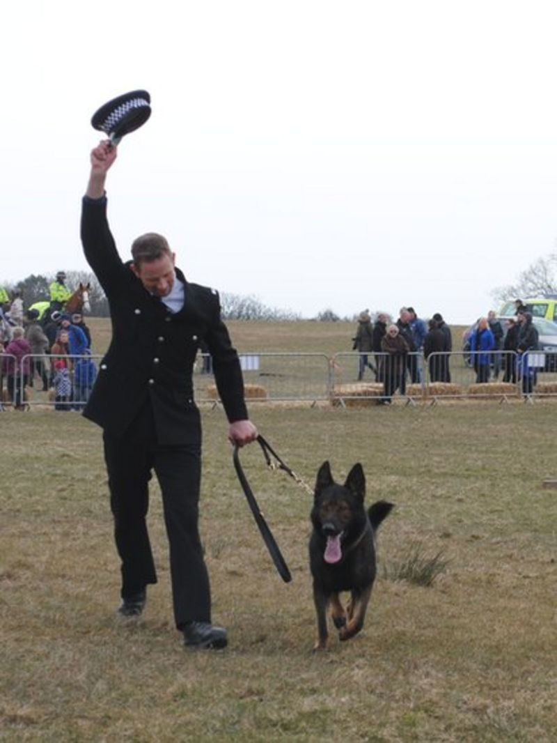 In Pictures: National police dog trials - BBC News
