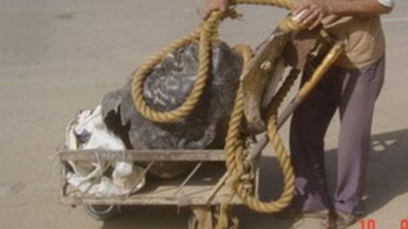 SAS man Nigel Ely hopes for Saddam Hussein statue deal - BBC News