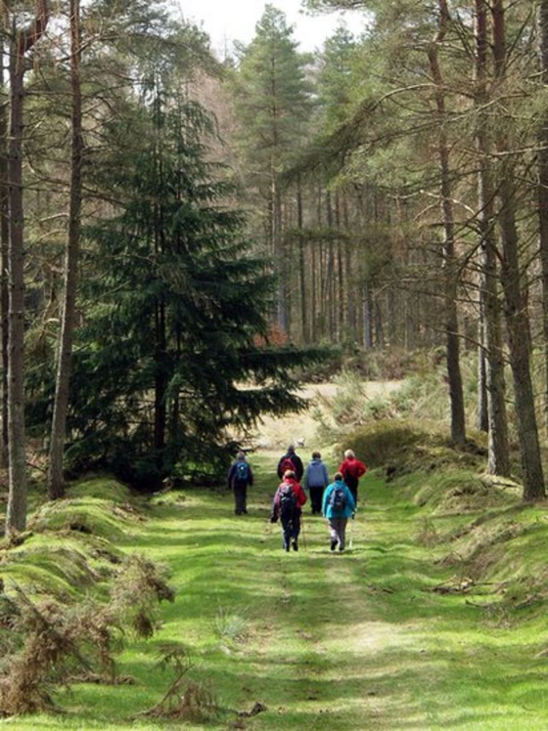 Your pictures of Scotland: 19 - 26 April - BBC News